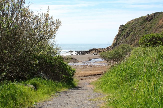 Sandy Cove Beach at Fort Ross in Jenner, CA - California Beaches