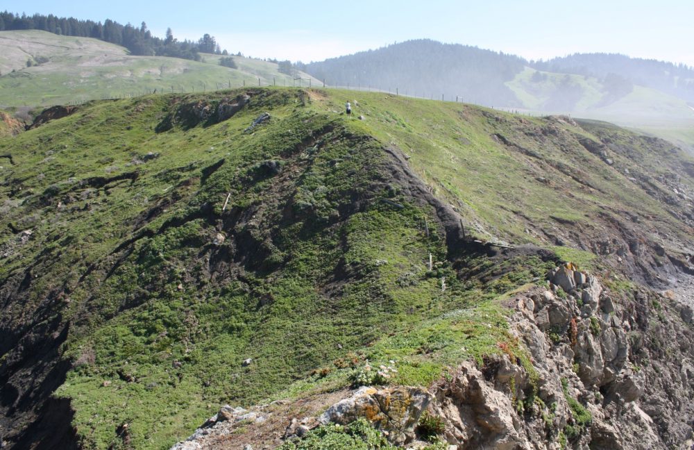 Fort Ross Reef in Jenner, CA - California Beaches
