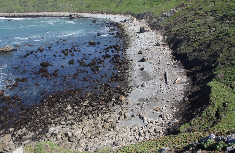 Fort Ross Reef in Jenner, CA - California Beaches