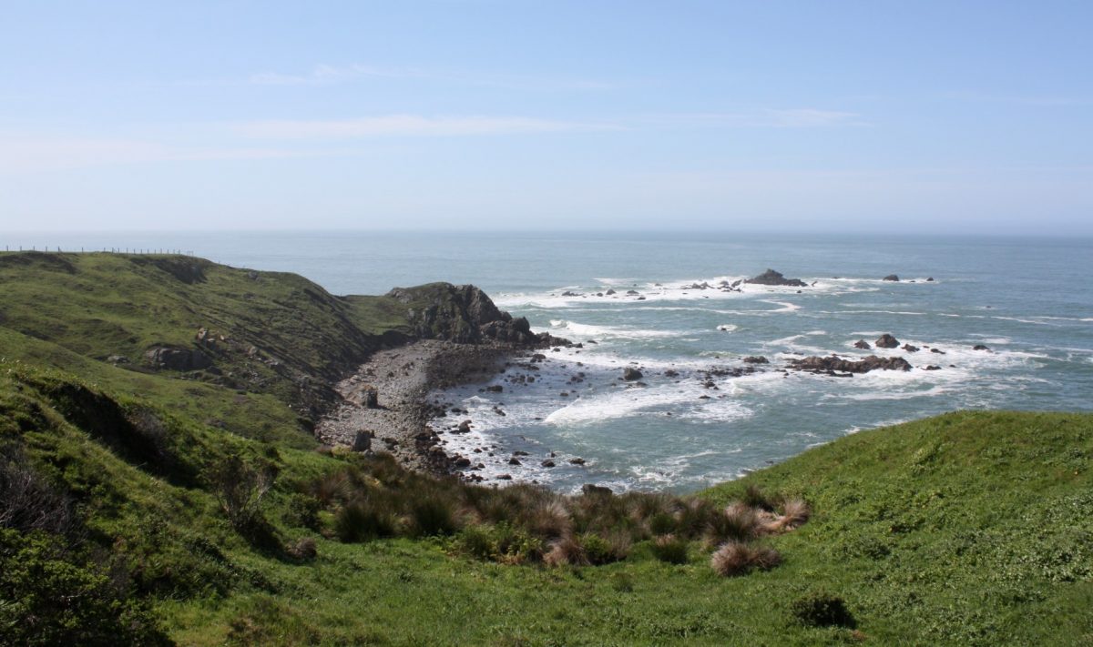 Sandy Cove Beach at Fort Ross in Jenner, CA - California Beaches