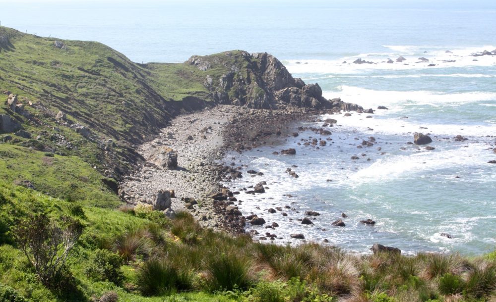 Fort Ross Reef in Jenner, CA - California Beaches