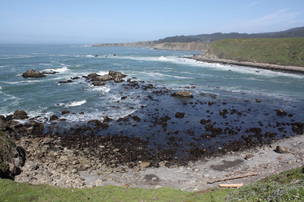 Fort Ross Reef in Jenner, CA - California Beaches