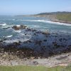 Fort Ross Reef, Jenner, CA - California Beaches