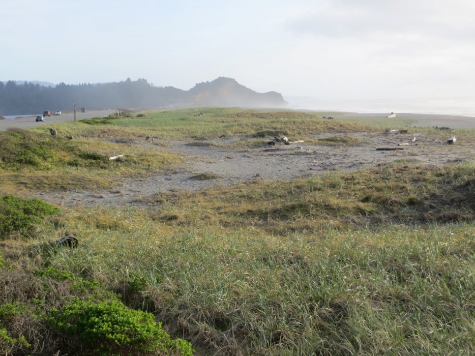 Weather In Orick California In June at Justin Wells blog