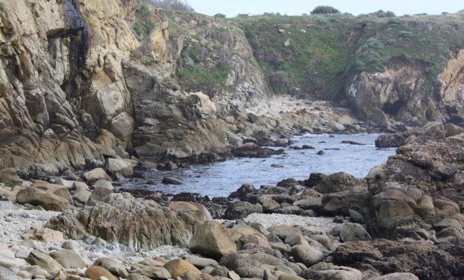 Gerstle Cove Beach in Jenner, CA - California Beaches