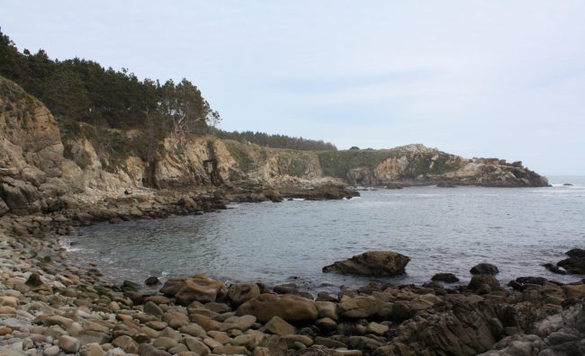 Gerstle Cove Beach in Jenner, CA - California Beaches