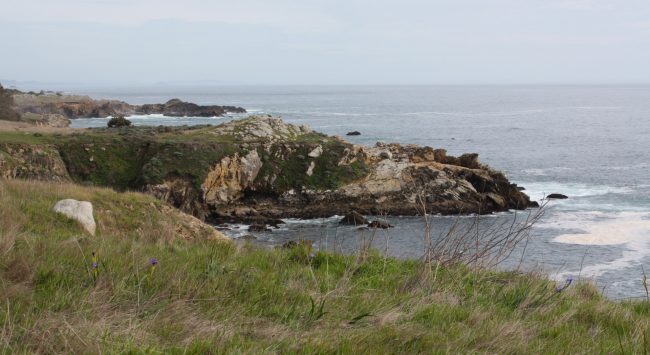 Gerstle Cove Beach in Jenner, CA - California Beaches