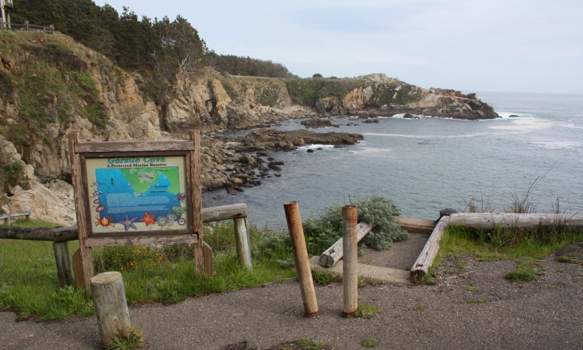 Beaches in Jenner, CA - California Beaches