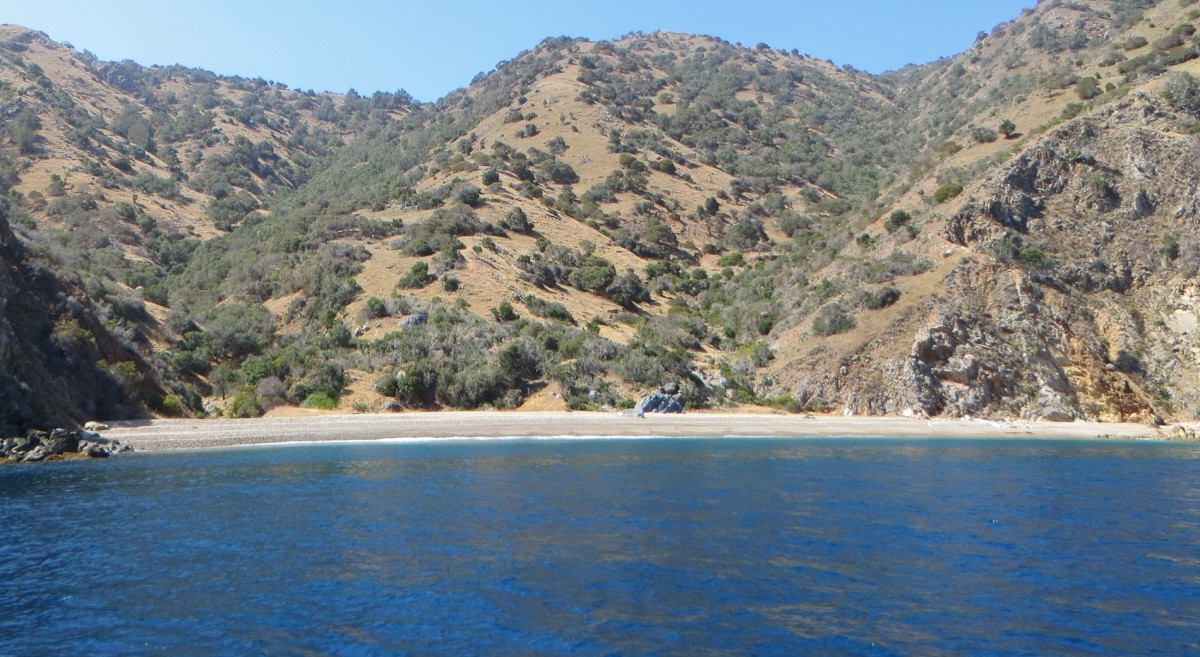Cabrillo Harbor Beach on Catalina Island in Avalon, CA - California Beaches