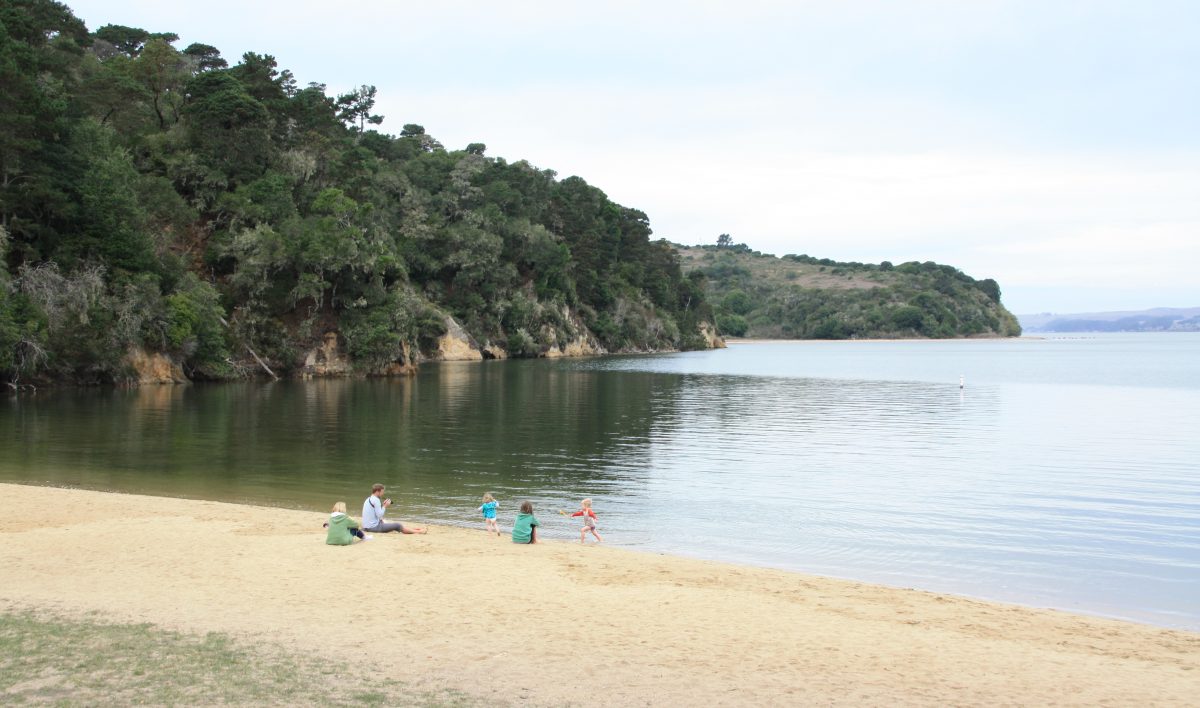 Pebble Beach at Tomales Bay State Park in Inverness, CA - California ...