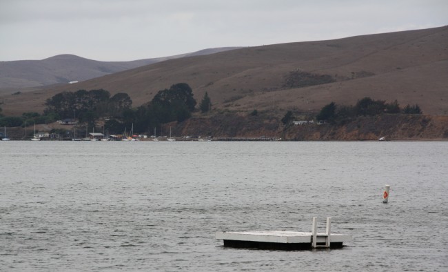 Hearts Desire Beach at Tomales Bay State Park in Inverness, CA ...