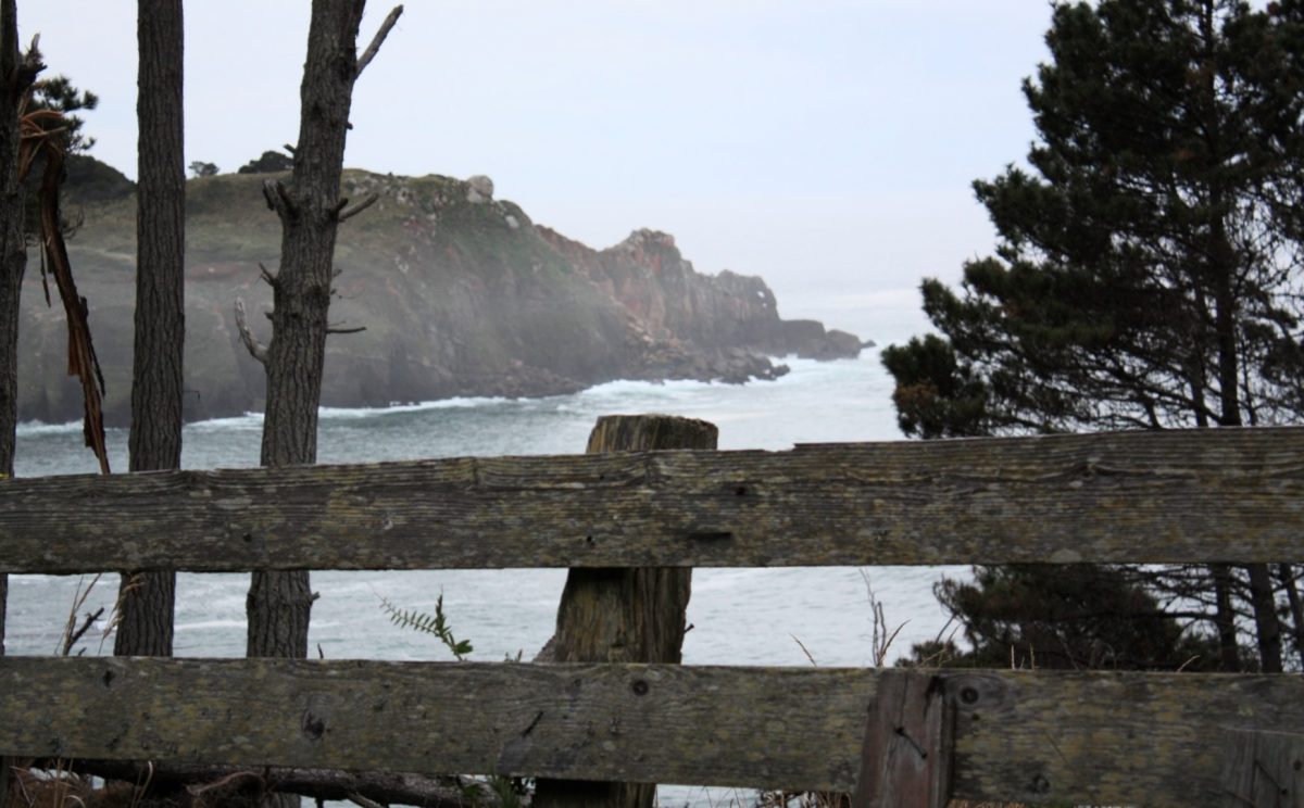 Fisk Mill Cove in Jenner, CA - California Beaches