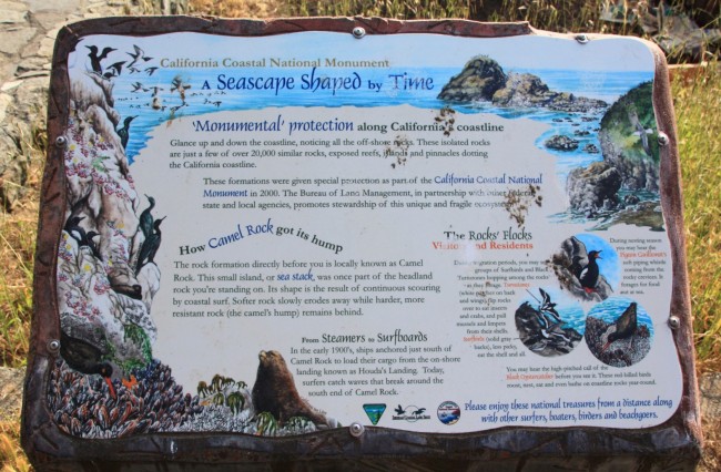 Houda Point Beach in Trinidad, CA - California Beaches