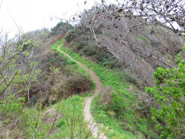 Houda Point Beach in Trinidad, CA - California Beaches