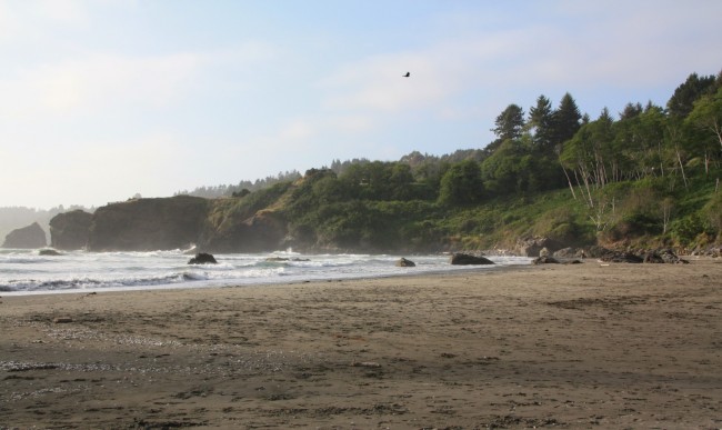 Houda Point Beach in Trinidad, CA - California Beaches