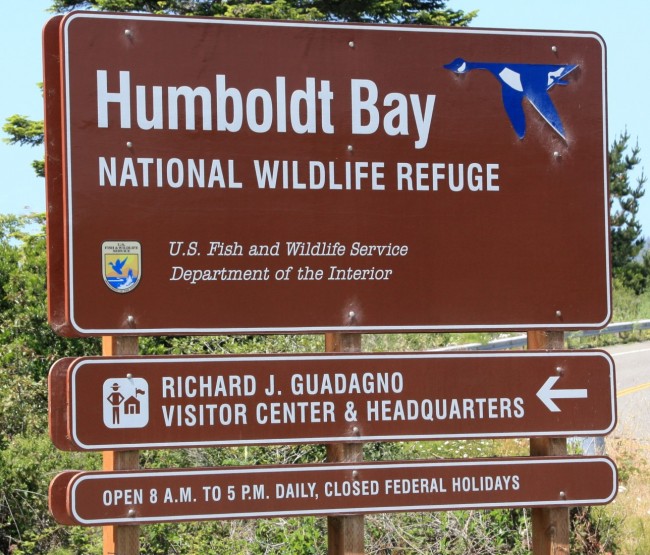 Humboldt Bay National Wildlife Refuge in Loleta, CA - California Beaches