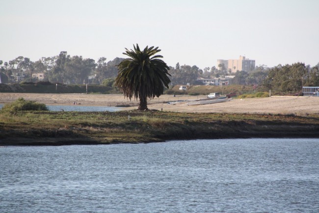 Fiesta Island Beaches on Mission Bay in San Diego, CA - California Beaches