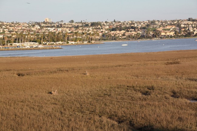 Campland on the Bay in San Diego, CA - California Beaches