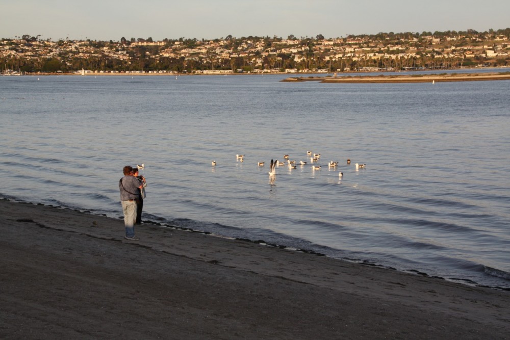 Crown Point Park on Mission Bay, San Diego, CA - California Beaches
