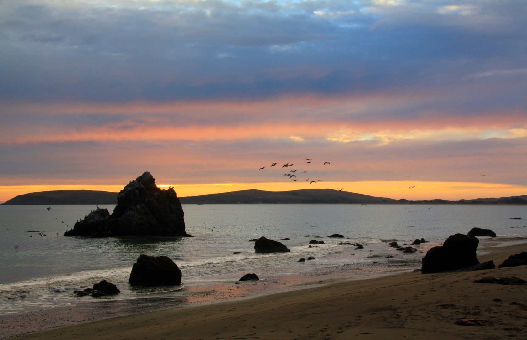 Beaches in Bodega Bay, CA - California Beaches