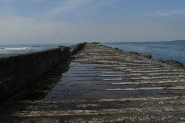 Mike Thompson Wildlife Area, South Spit Humboldt Bay in Loleta, CA ...