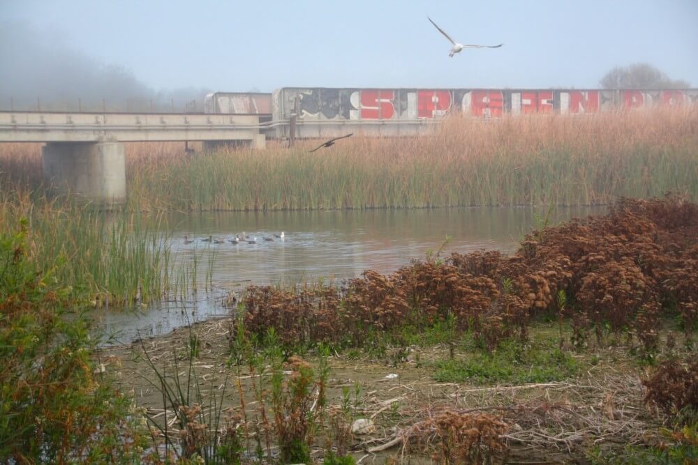 Trestles Beach, San Clemente, CA - California Beaches