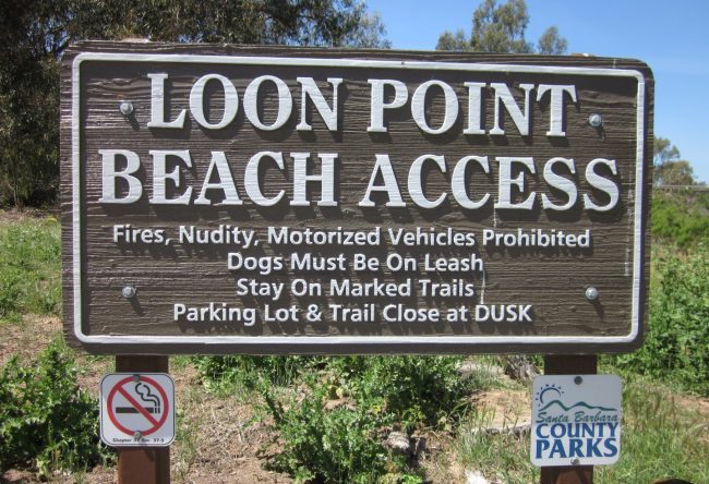 Loon Point Beach in Carpinteria, CA - California Beaches