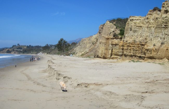 Loon Point Beach in Carpinteria, CA - California Beaches