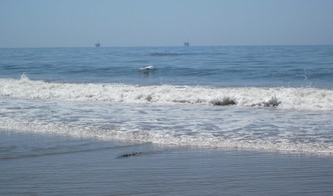 Loon Point Beach in Carpinteria, CA - California Beaches