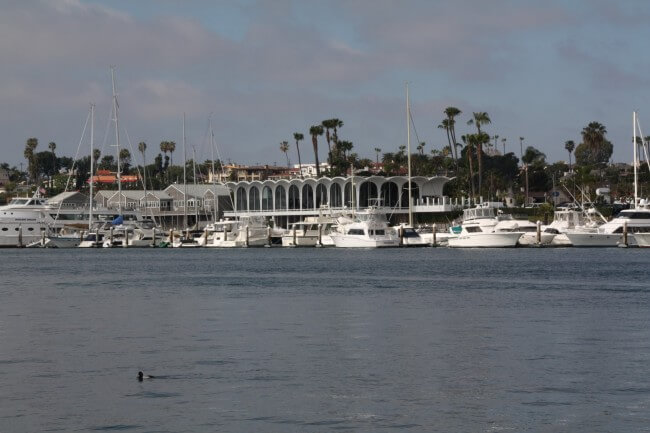 Lido Isle – Genoa West Beach in Newport Beach, CA - California Beaches