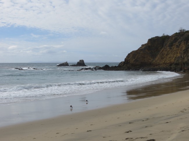 Crescent Bay Beach in Laguna Beach, CA - California Beaches