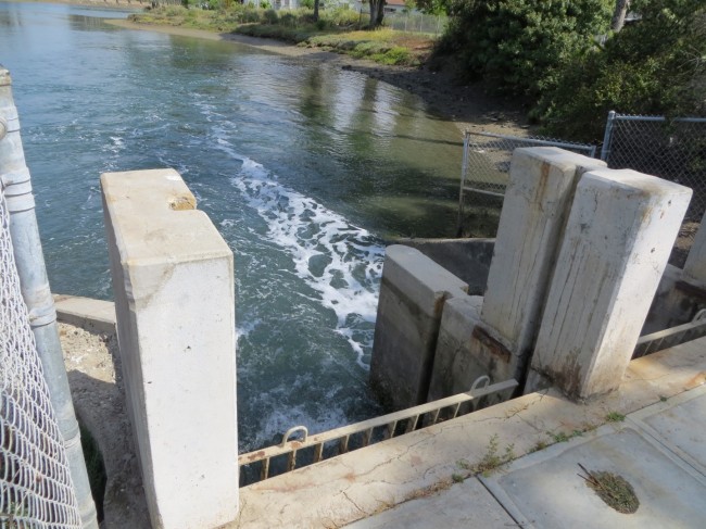 Colorado Lagoon Park in Long Beach, CA - California Beaches
