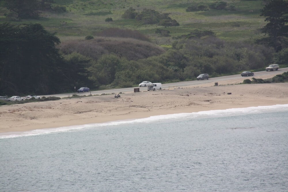 Monastery Beach in Carmel, CA - California Beaches