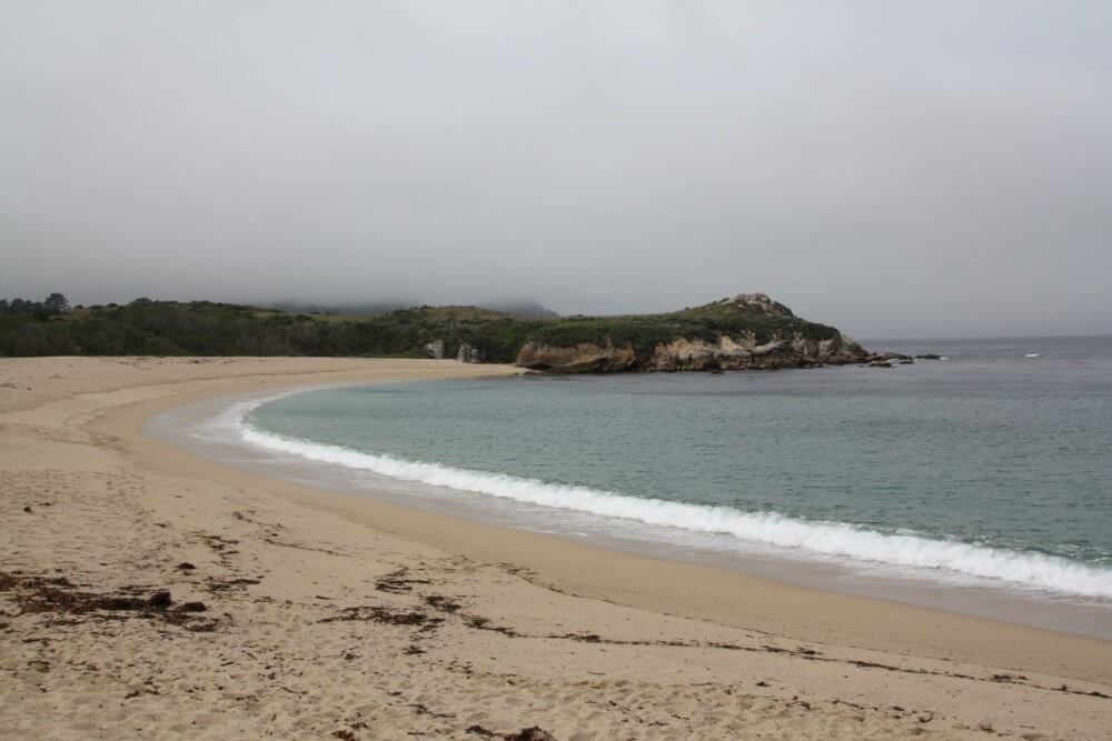 Monastery Beach in Carmel, CA - California Beaches