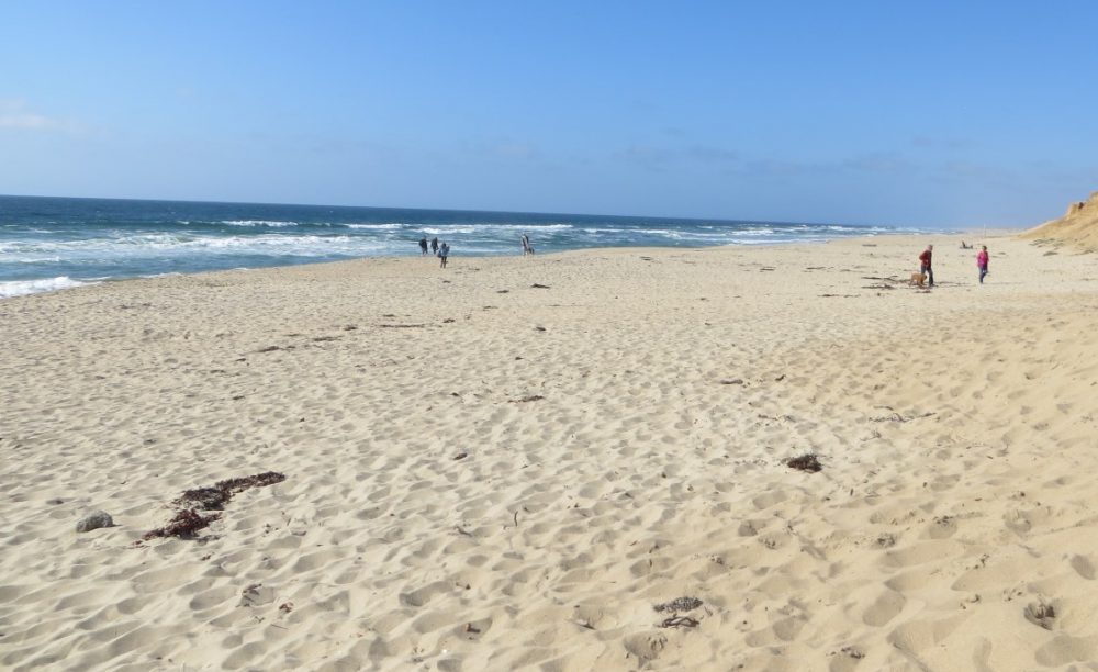 Marina Dunes Beach in Marina, CA - California Beaches