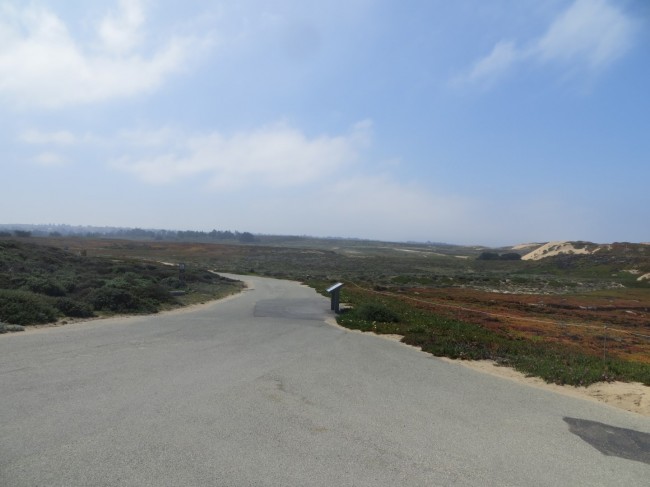Fort Ord Dunes State Park Beach in Marina, CA - California Beaches