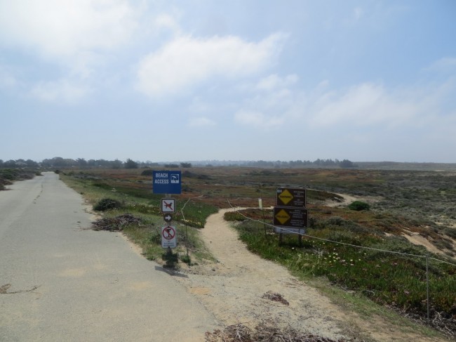 Fort Ord Dunes State Park Beach in Marina, CA - California Beaches