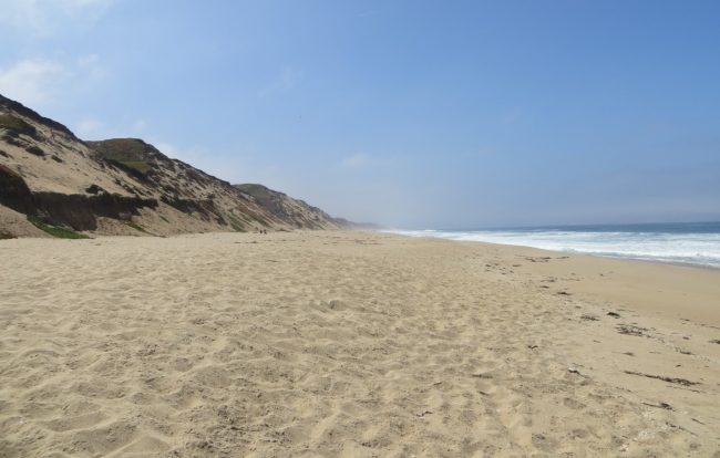 Fort Ord Dunes State Park Beach in Marina, CA - California Beaches