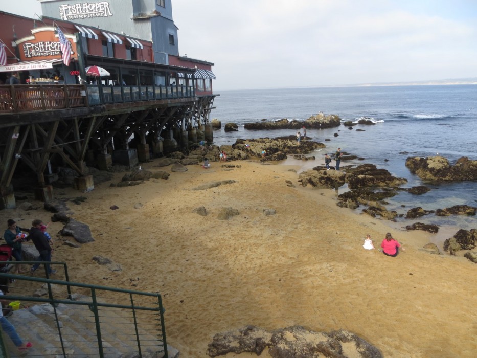 McAbee Beach in Monterey, CA - California Beaches