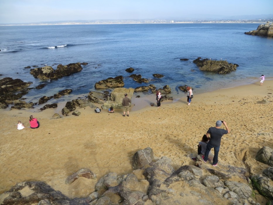 McAbee Beach in Monterey, CA - California Beaches