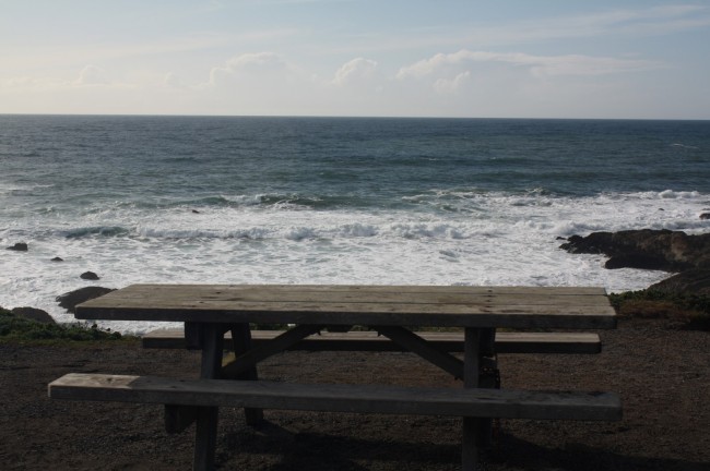 Bodega Head Beach in Bodega Bay, CA - California Beaches