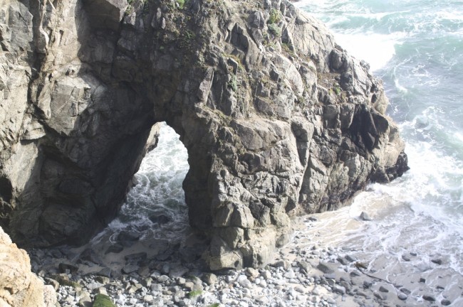 Bodega Head Beach in Bodega Bay, CA - California Beaches