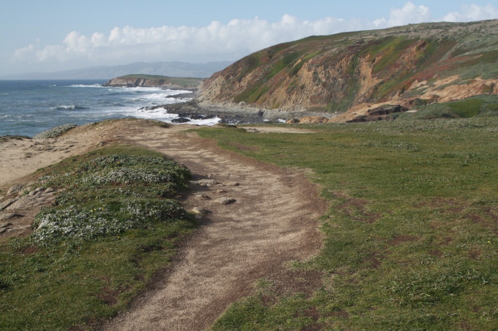 Bodega Head Beach in Bodega Bay, CA - California Beaches