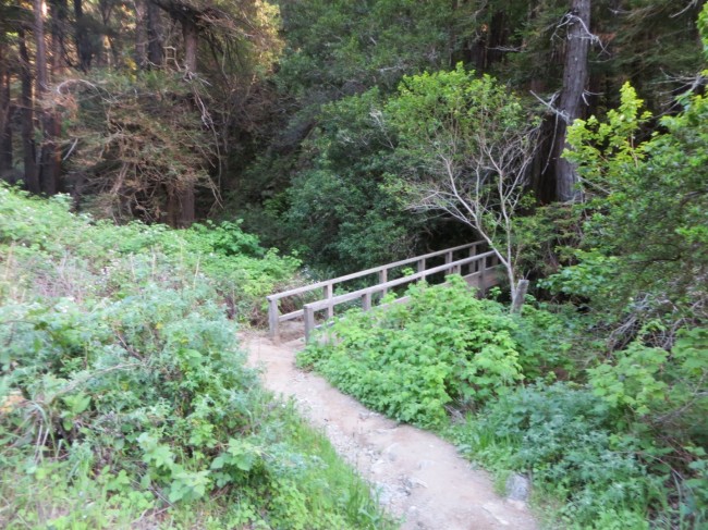 Partington Cove in Big Sur, CA - California Beaches