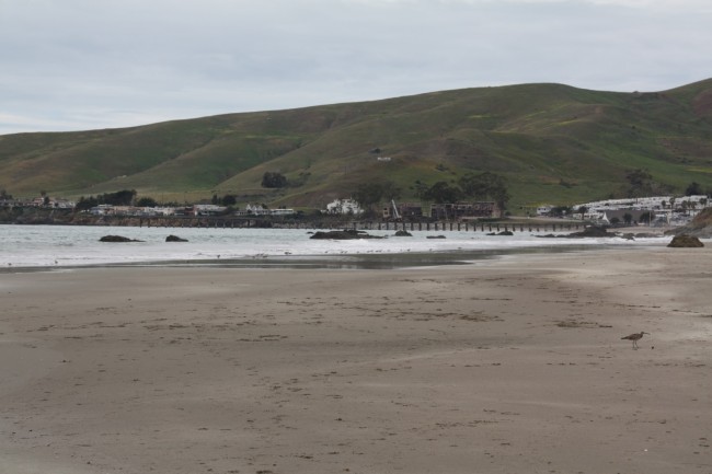 Cayucos Beach in Cayucos, CA - California Beaches
