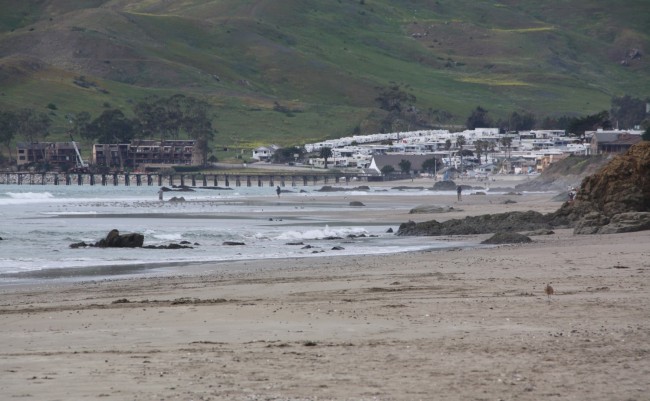 Cayucos Beach in Cayucos, CA - California Beaches