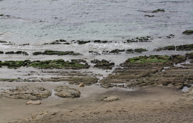 North Point Beach in Morro Bay, CA - California Beaches
