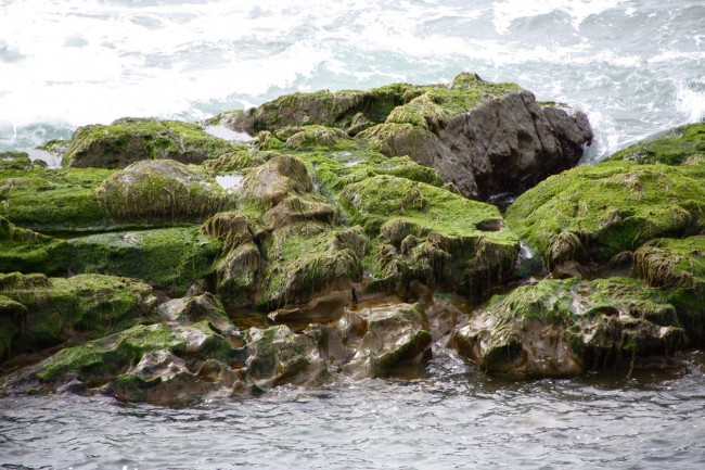 North Point Beach in Morro Bay, CA - California Beaches