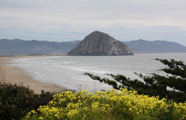 North Point Beach in Morro Bay, CA - California Beaches