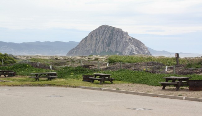 Morro Strand State Beach in Morro Bay, CA - California Beaches